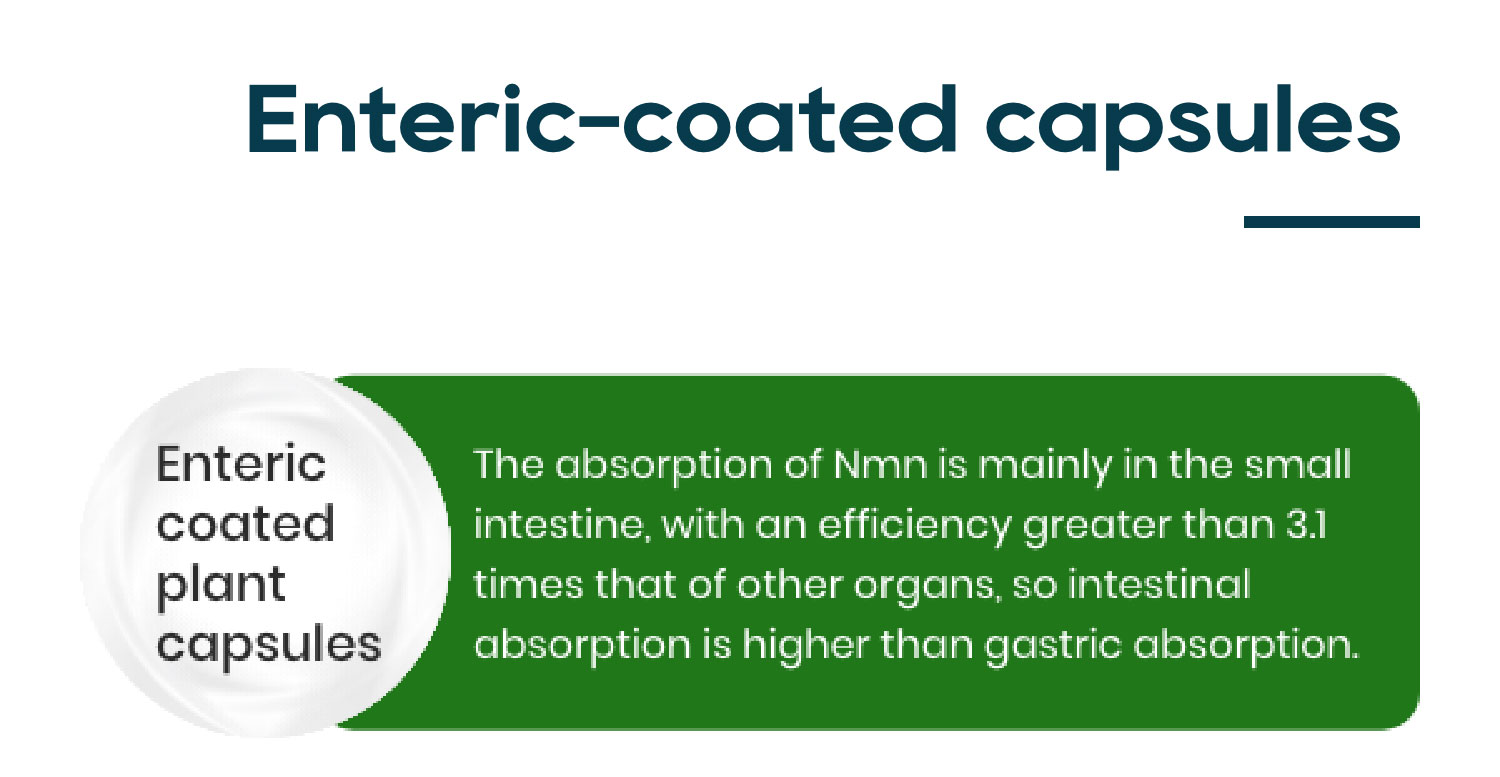 science2 – Prime Harmony