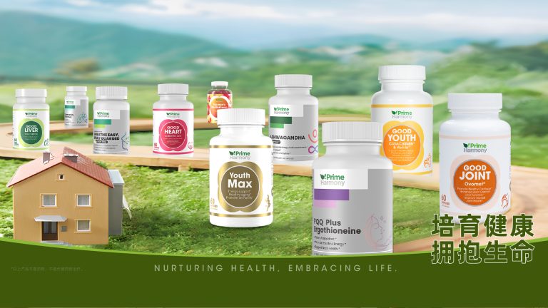 首页 – Prime Harmony