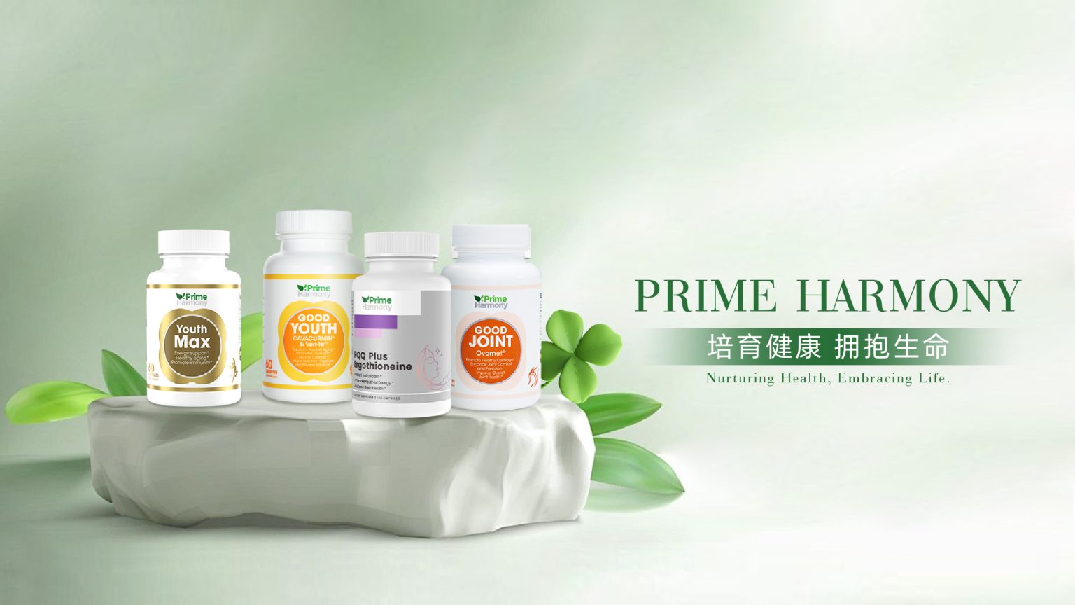 首页 – Prime Harmony